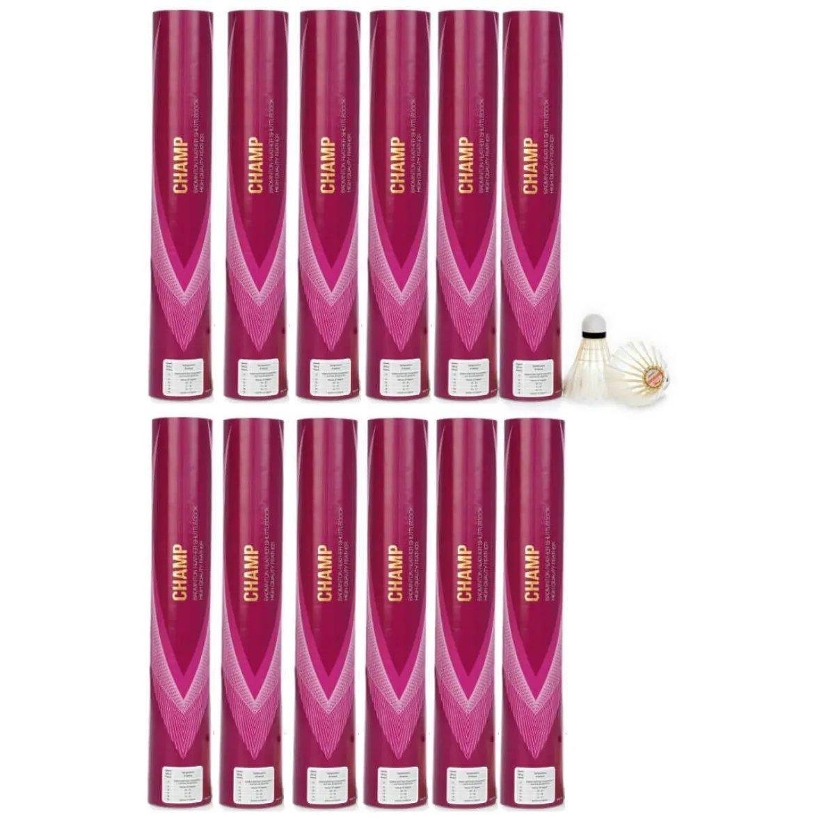 Buy Lining Champ Feather Shuttlecock (Pack of 12) - Sportsuncle